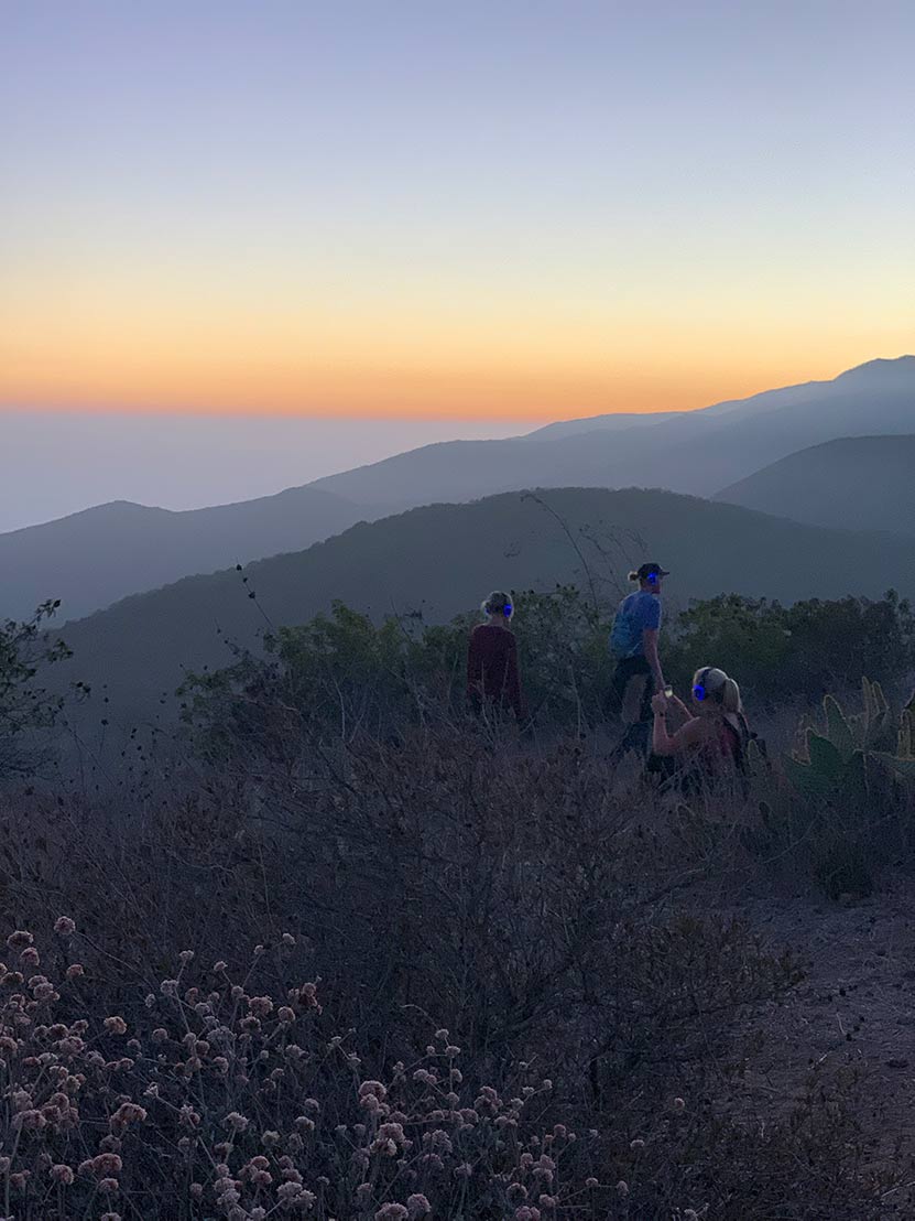 MindTravel: A Powerful Walking Meditation Combining Music With Scenic ...